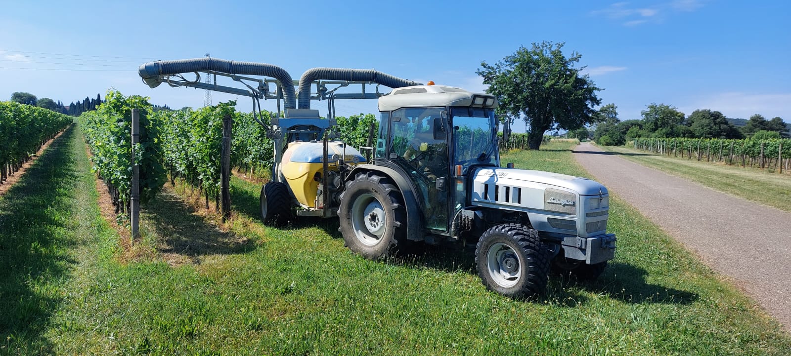 Tonut Company: "Our Cognac-California keeps its promises." - Martignani ...